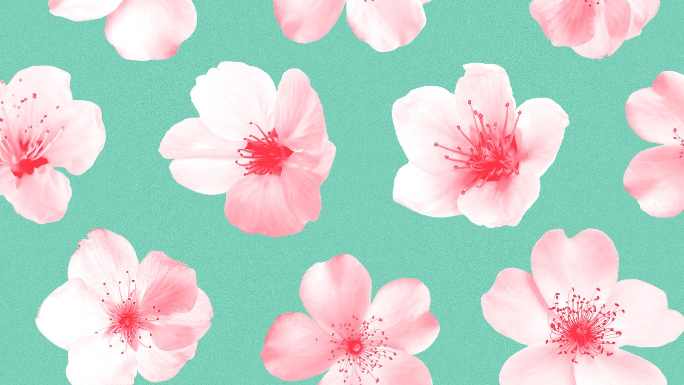 What to do this weekend in Philly: Cherry blossom festival and Flag Day ...