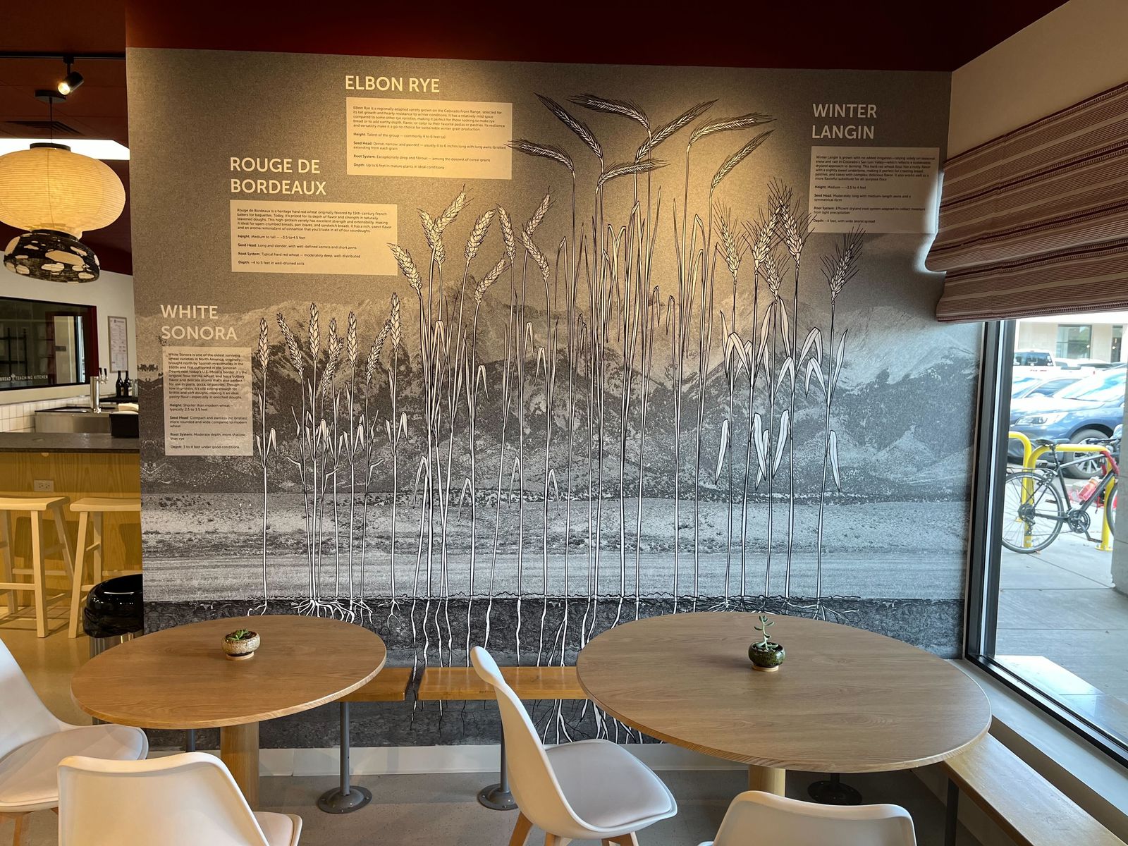 Rebel Bread bakery in Denver opens new cafe and baking school - Axios Denver