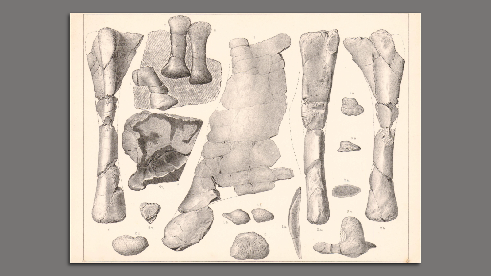 Utah's first recorded dinosaur fossil reshaped prehistoric timelines ...