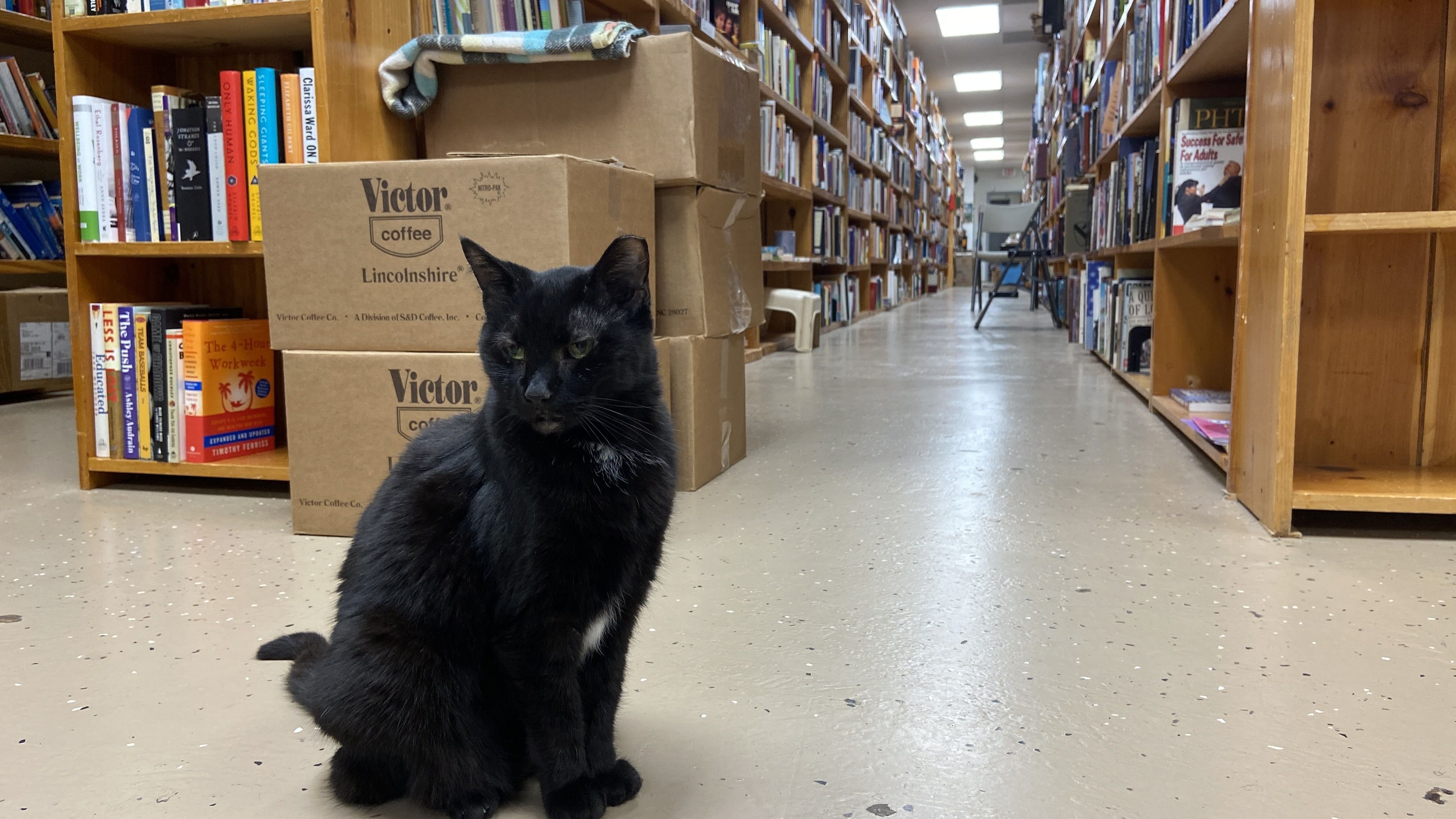 Charlotte-area independent bookstores - Axios Charlotte