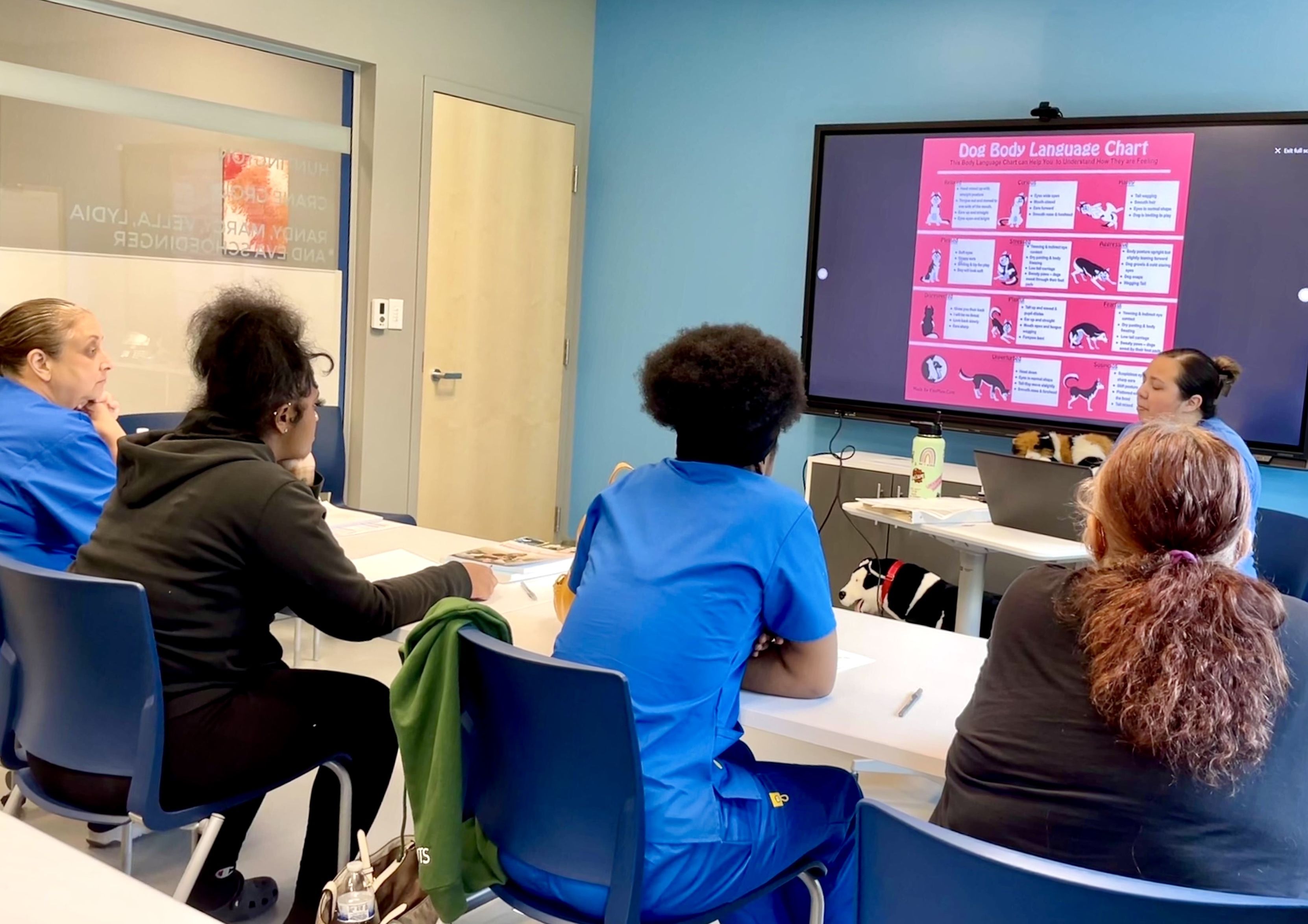 Columbus Humane opens new facility with affordable vet care, free pet ...