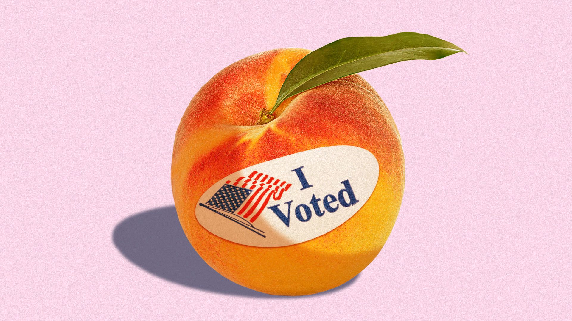 Roswell voters elect new mayor while Sandy Springs keeps incumbent ...