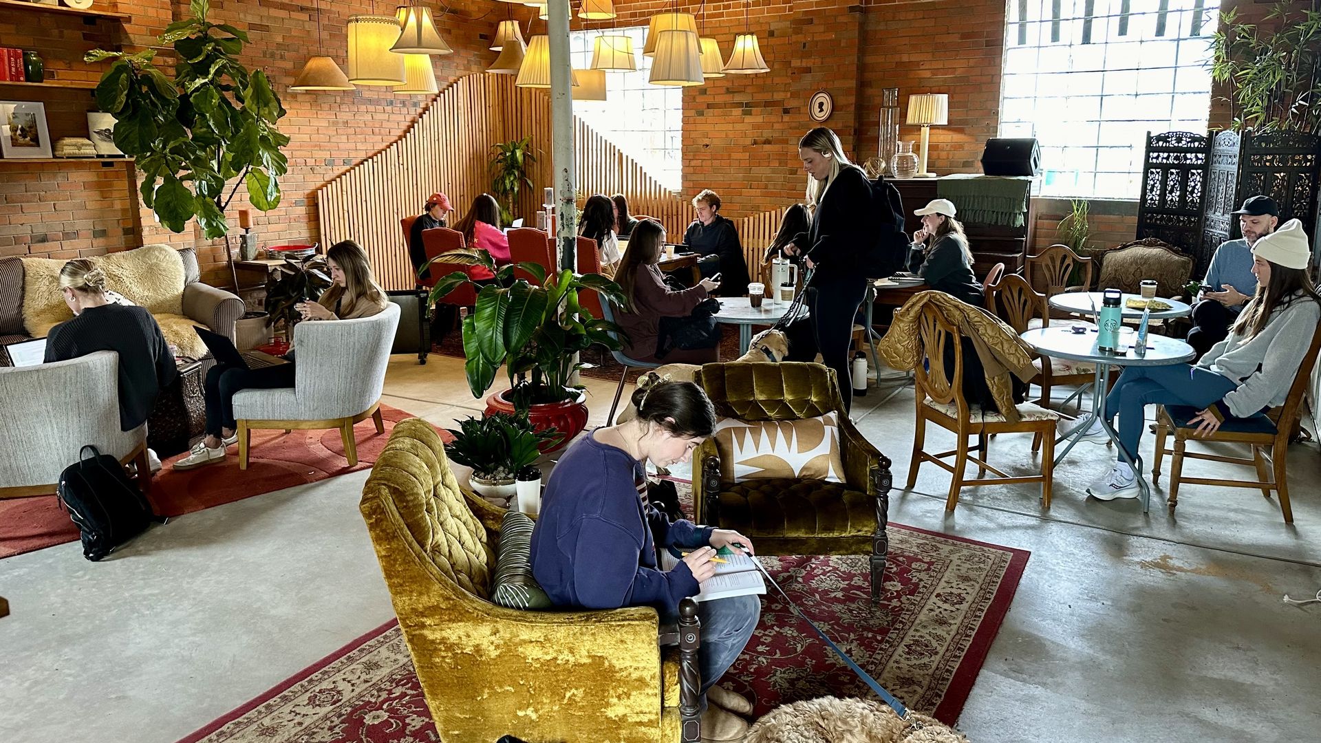 Moonflower Coffee opens in Sloan's Lake - Axios Denver