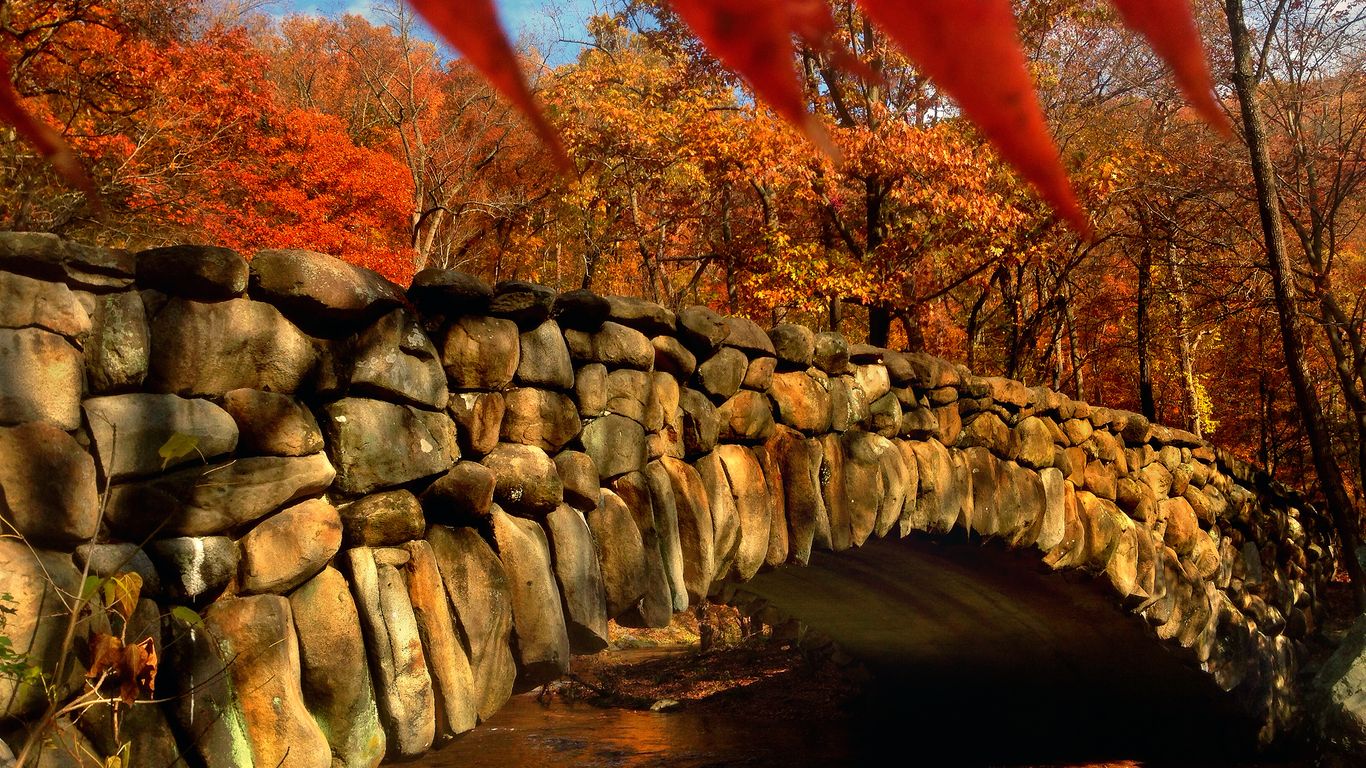 Fall hikes, foliage and apple-picking in D.C. - Axios Washington D.C.