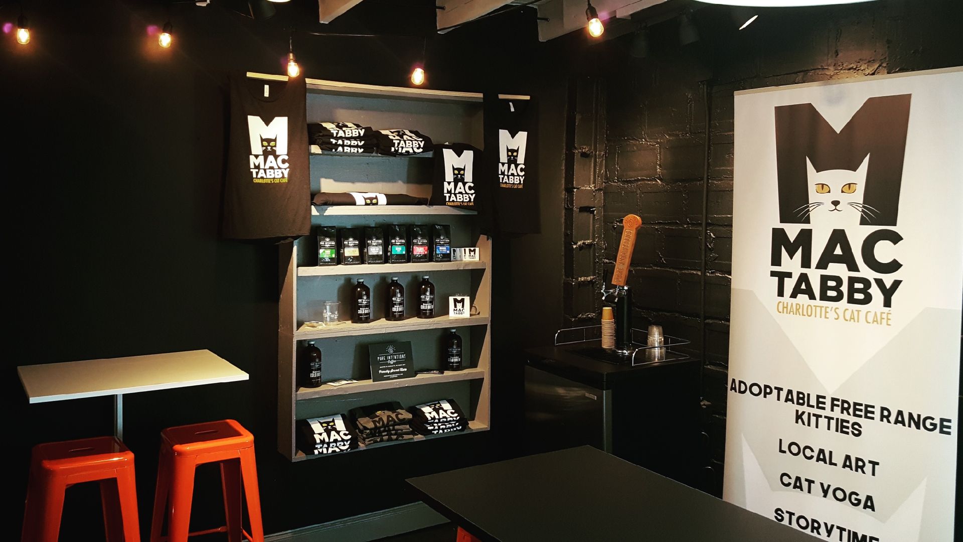 Mac Tabby Cat Cafe will open November 11 in Optimist Park - Axios Charlotte