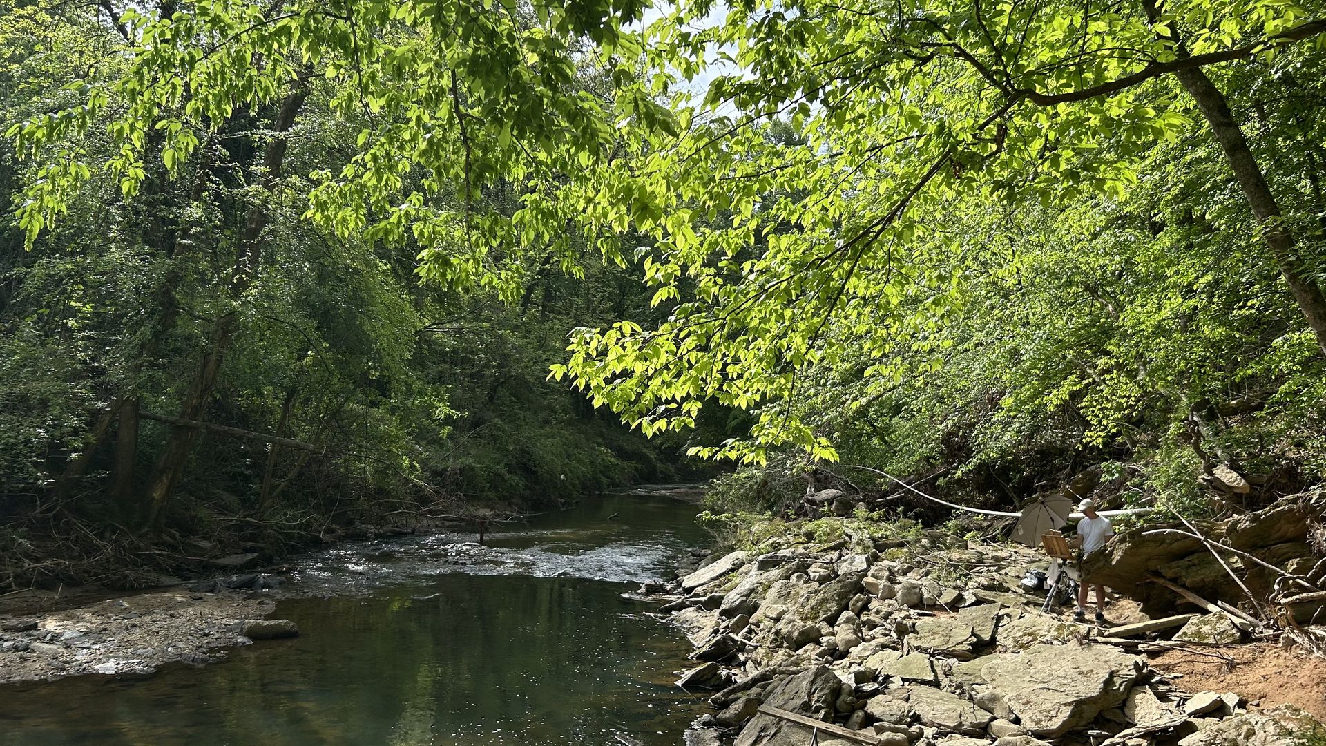 Preserve plan advances for Buckhead forest - Axios Atlanta