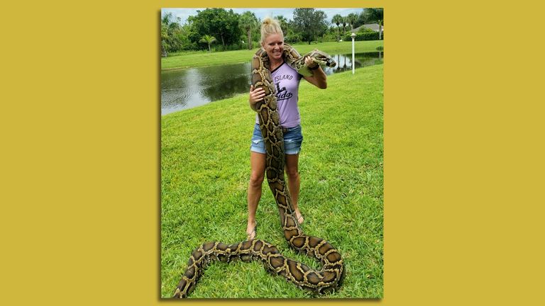 Meet the Python Huntress capturing snakes in the Florida Everglades - Axios Tampa Bay