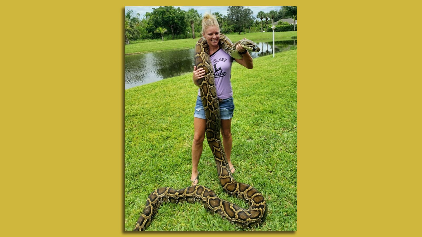 Meet the Python Huntress capturing snakes in the Florida Everglades ...