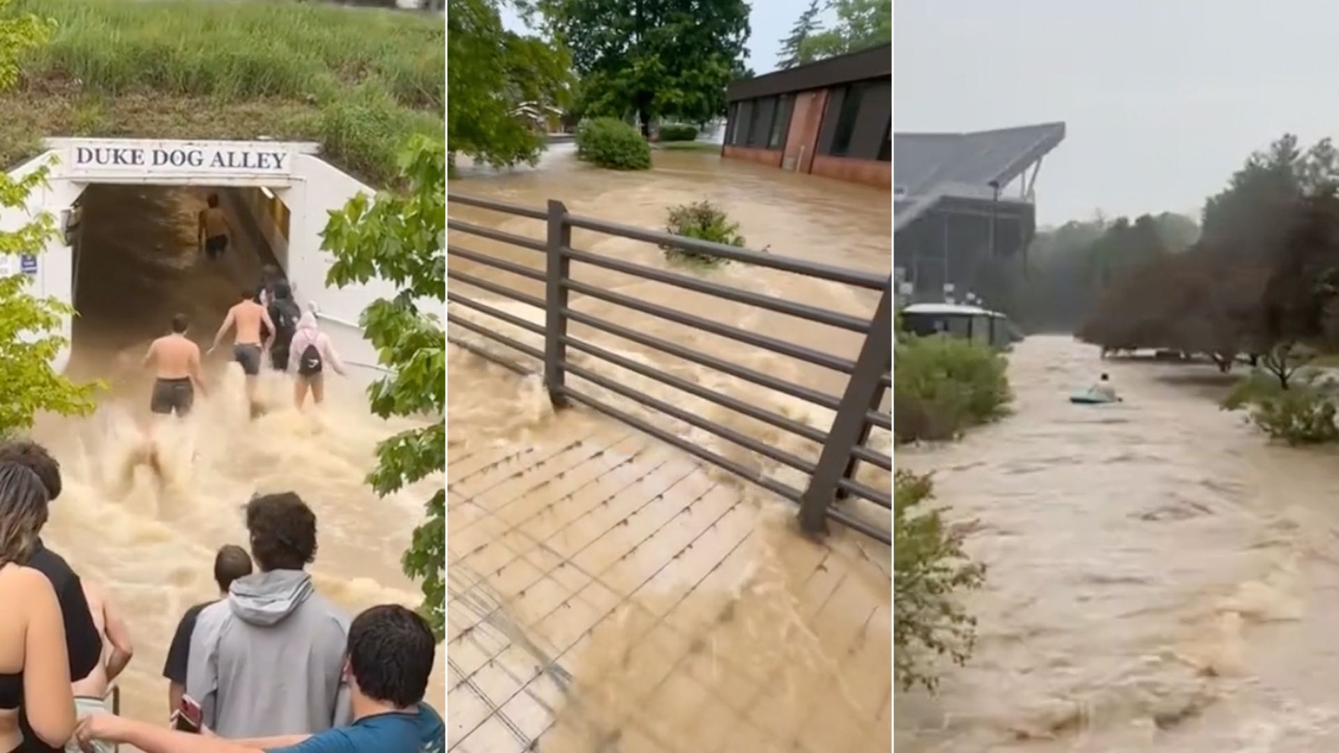 JMU goes viral on TikTok for campus flooding during finals week - Axios ...