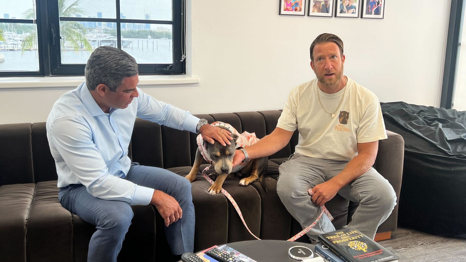 Famous Miss Peaches is Miami's latest mascot - Axios Miami