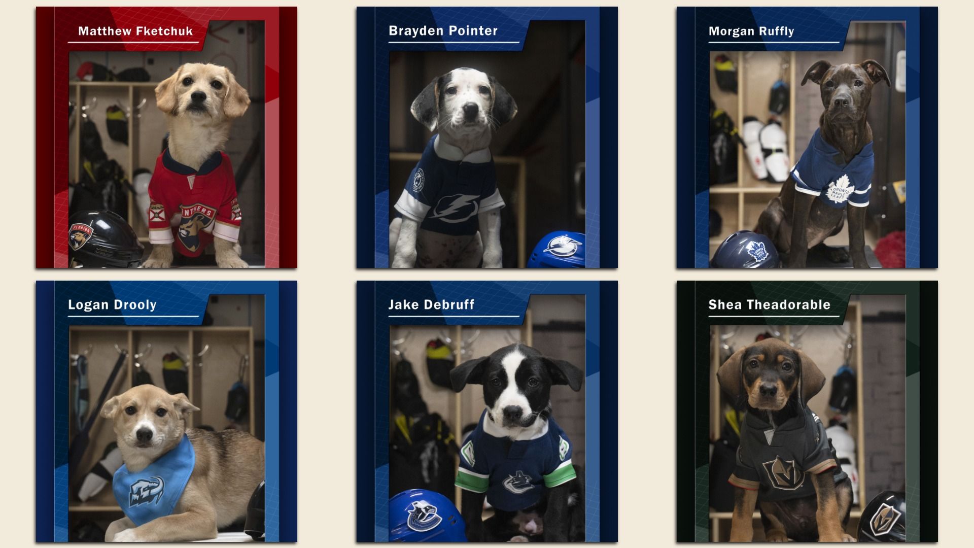 Dozens of cute puppies to face off in the NHL's "Stanley Pup"