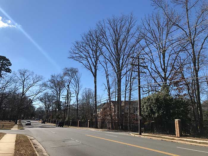 Power out in your neighborhood? Could be rotting utility poles - Axios ...