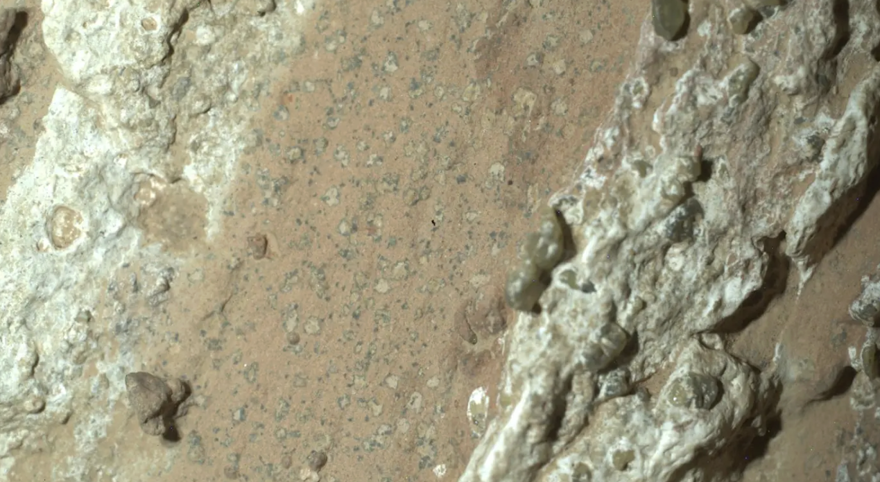 Mars rock contains "clearest sign" yet of potential past life on Red Planet