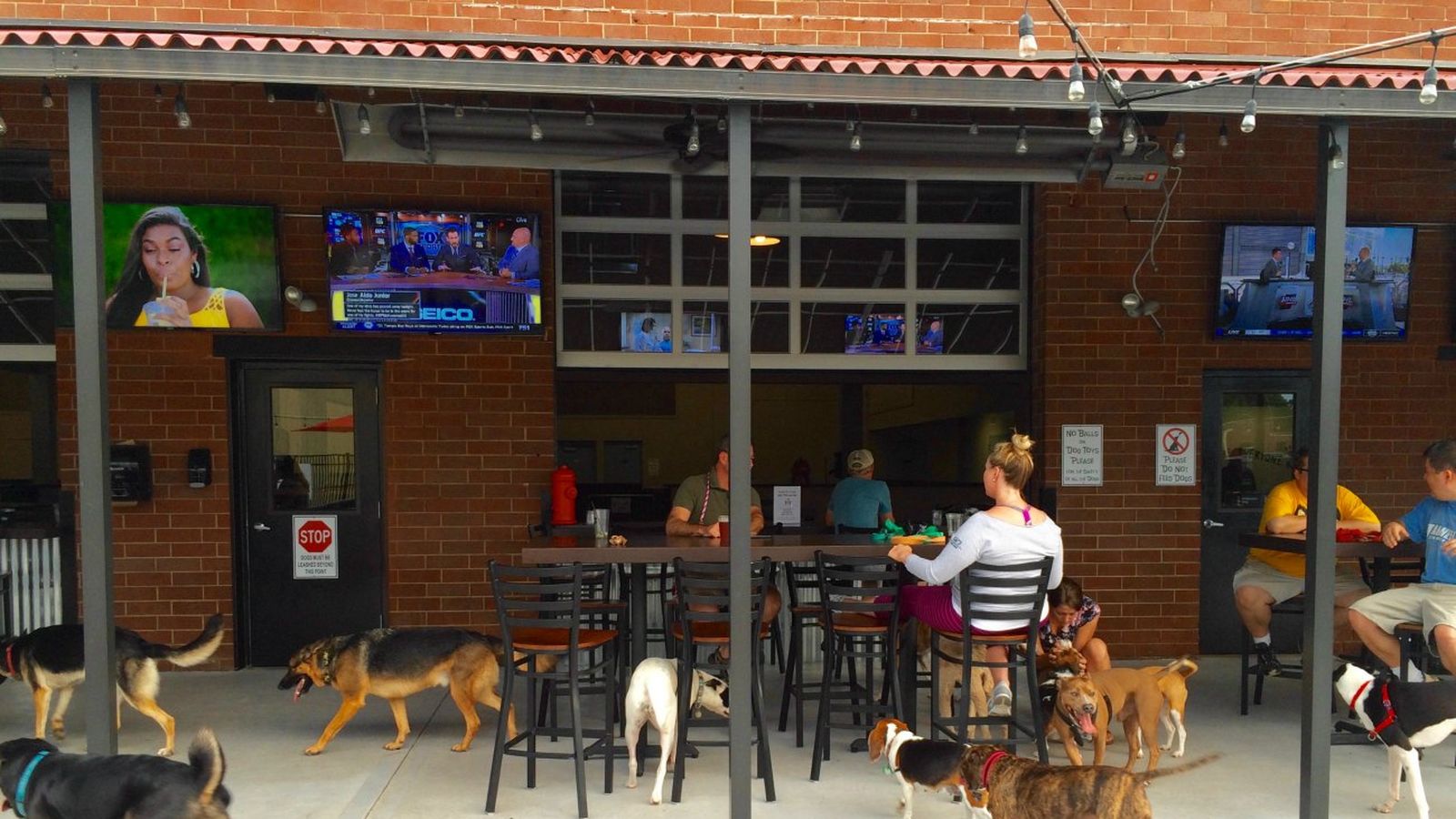 Lucky Dog Bark & Brew is the ideal place to drink with your dog in ...