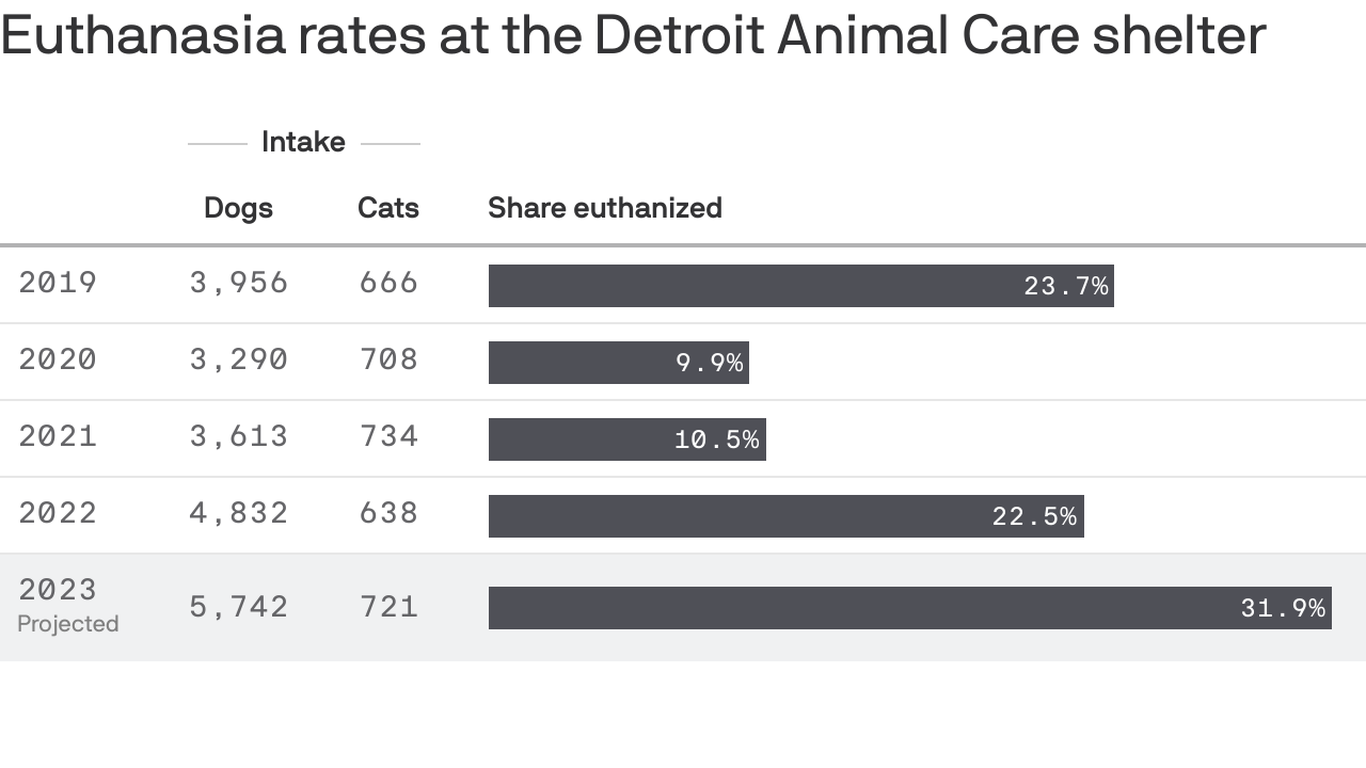 Euthanasia rates in Detroit's public animal shelter reach 5-year high ...