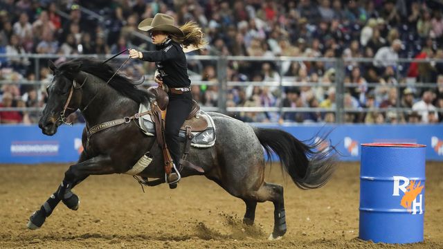 Guide to the Houston Livestock Show and Rodeo - Axios Houston