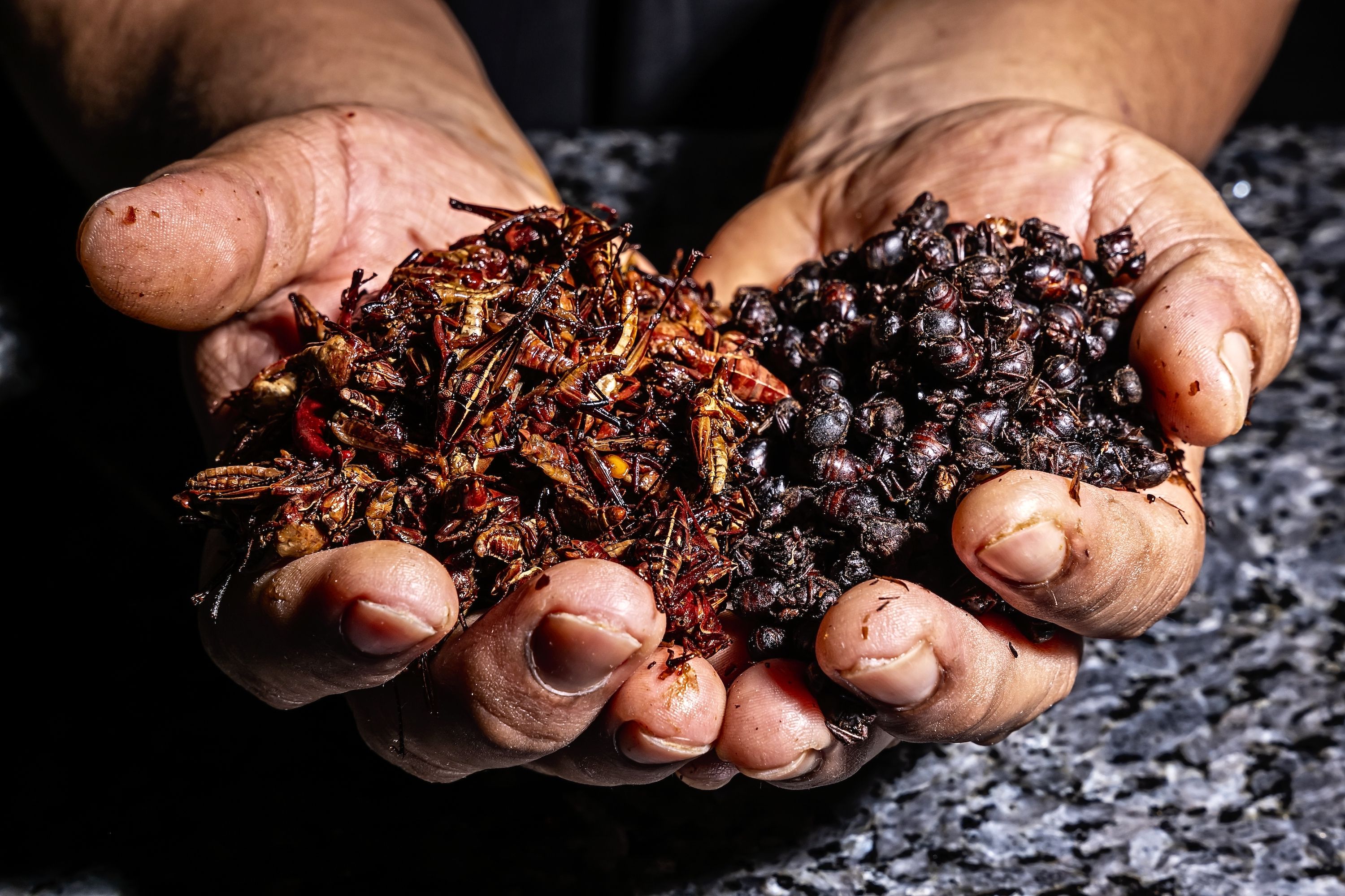 More restaurants are serving bugs to eat in DC - Axios Washington D.C.