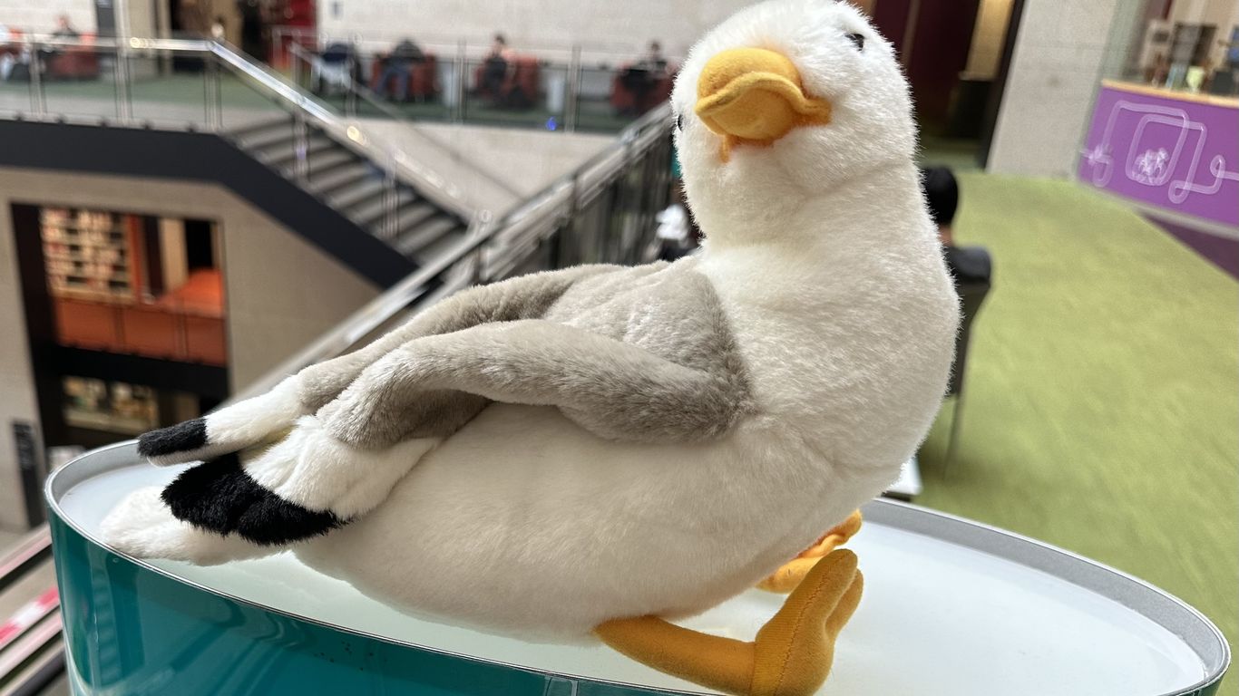 Where's Townie? - Axios Boston