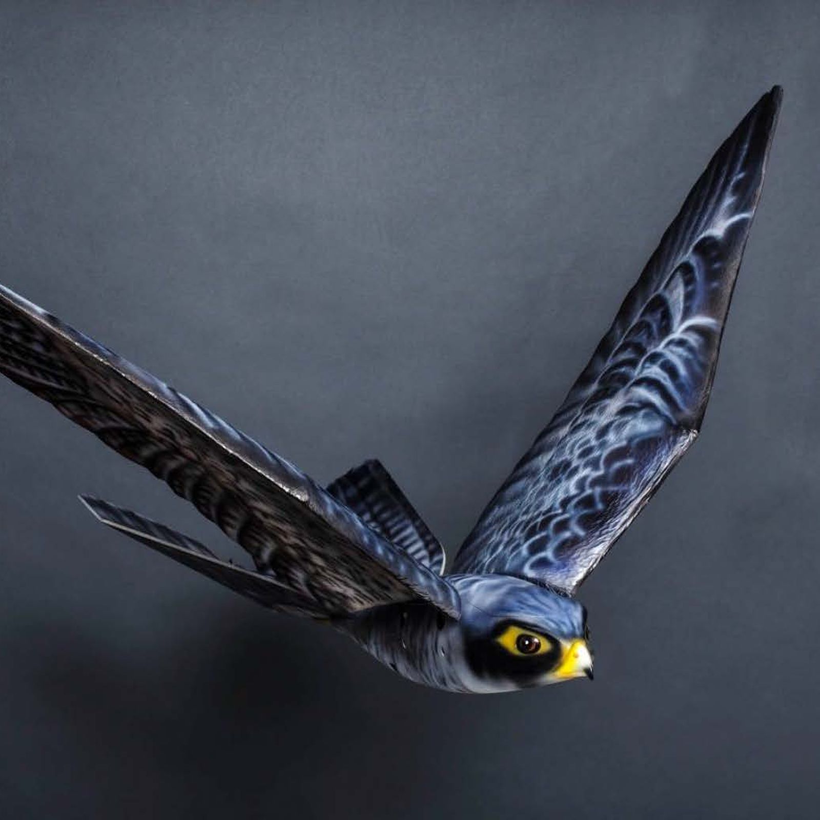 Drones lasers shoo away unwanted birds