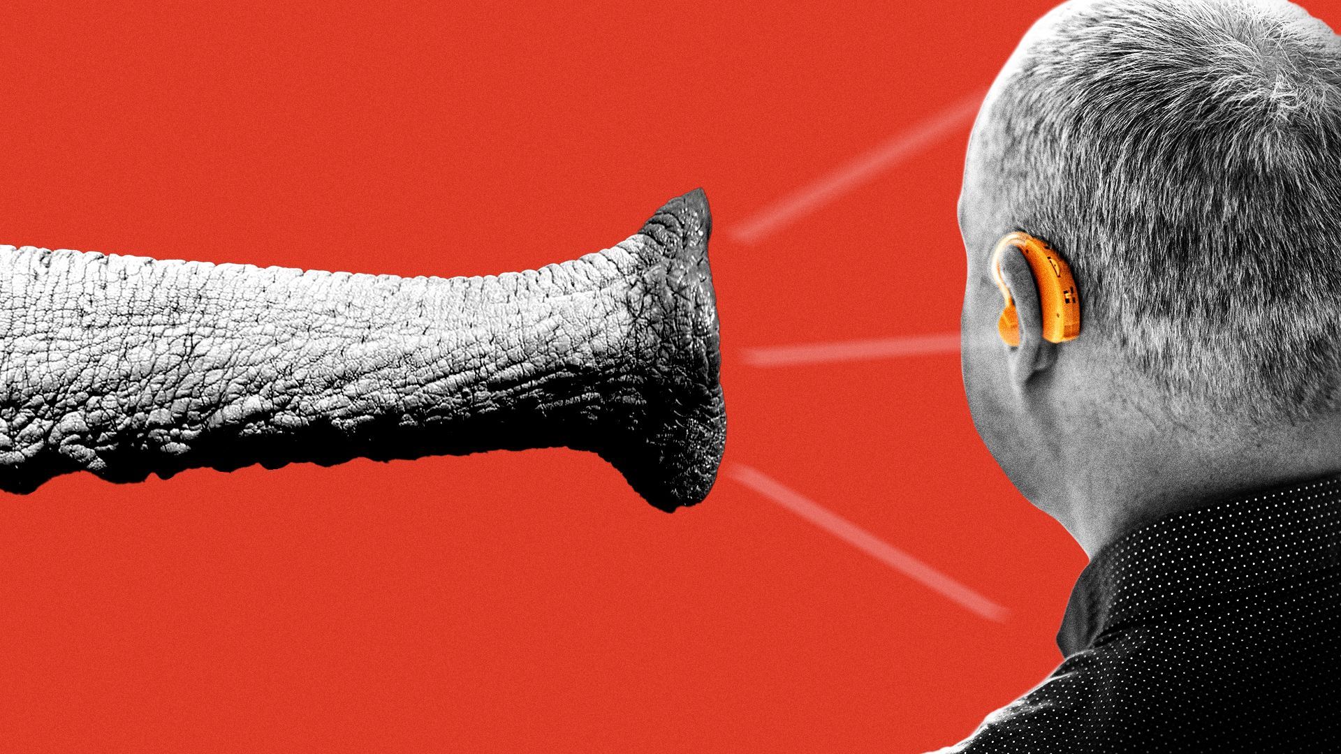 Right-wing commentators attack sign language interpreters during LA ...