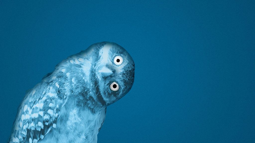 Blue Owl Capital is howling on the inside