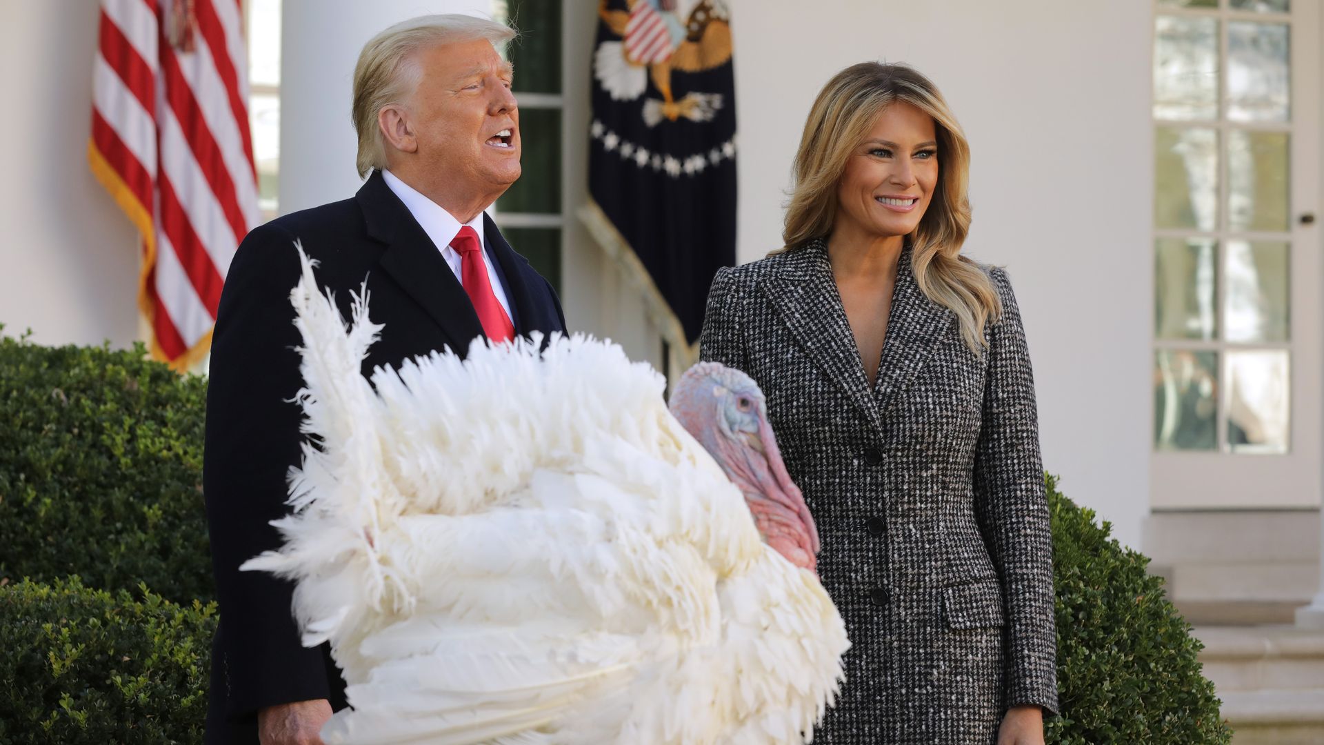 Trump touts Walmart's cheaper Thanksgiving meal amid SNAP benefit fight