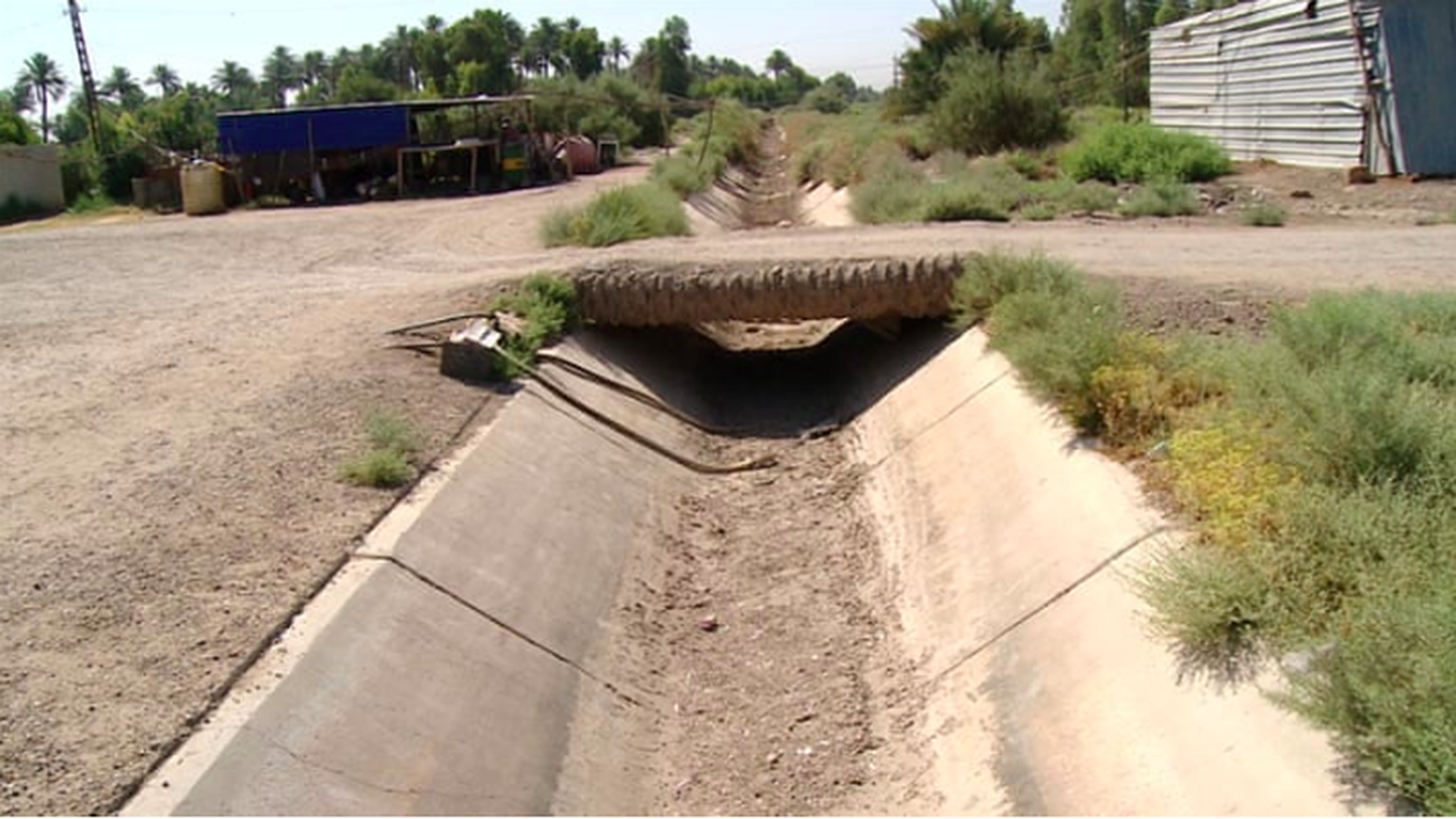 Arwa Ibrahim of Al Jazeera - Axios