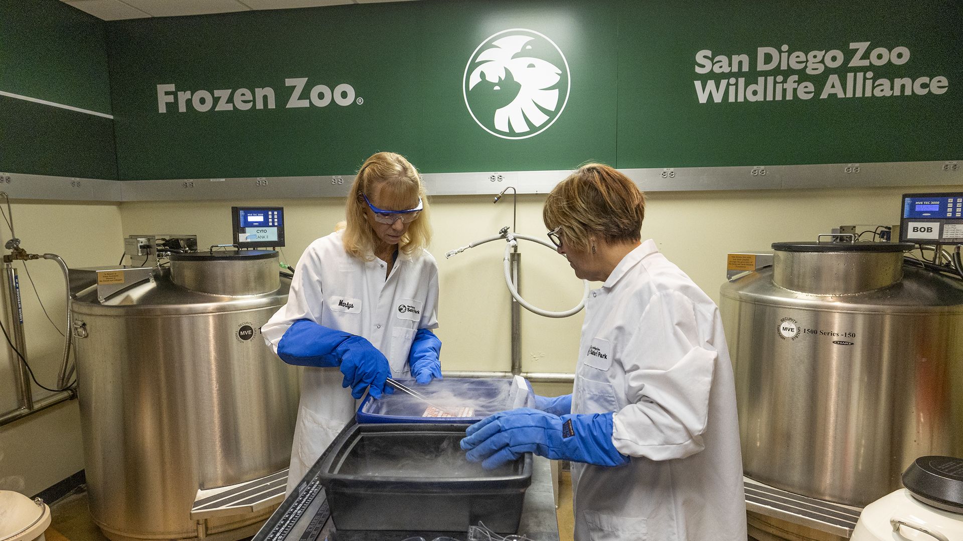 How San Diego's Frozen Zoo is saving endangered species - Axios San Diego