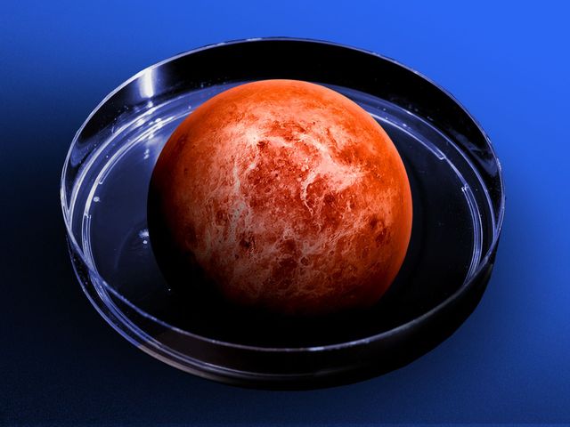 Paper Mache Planet Venus