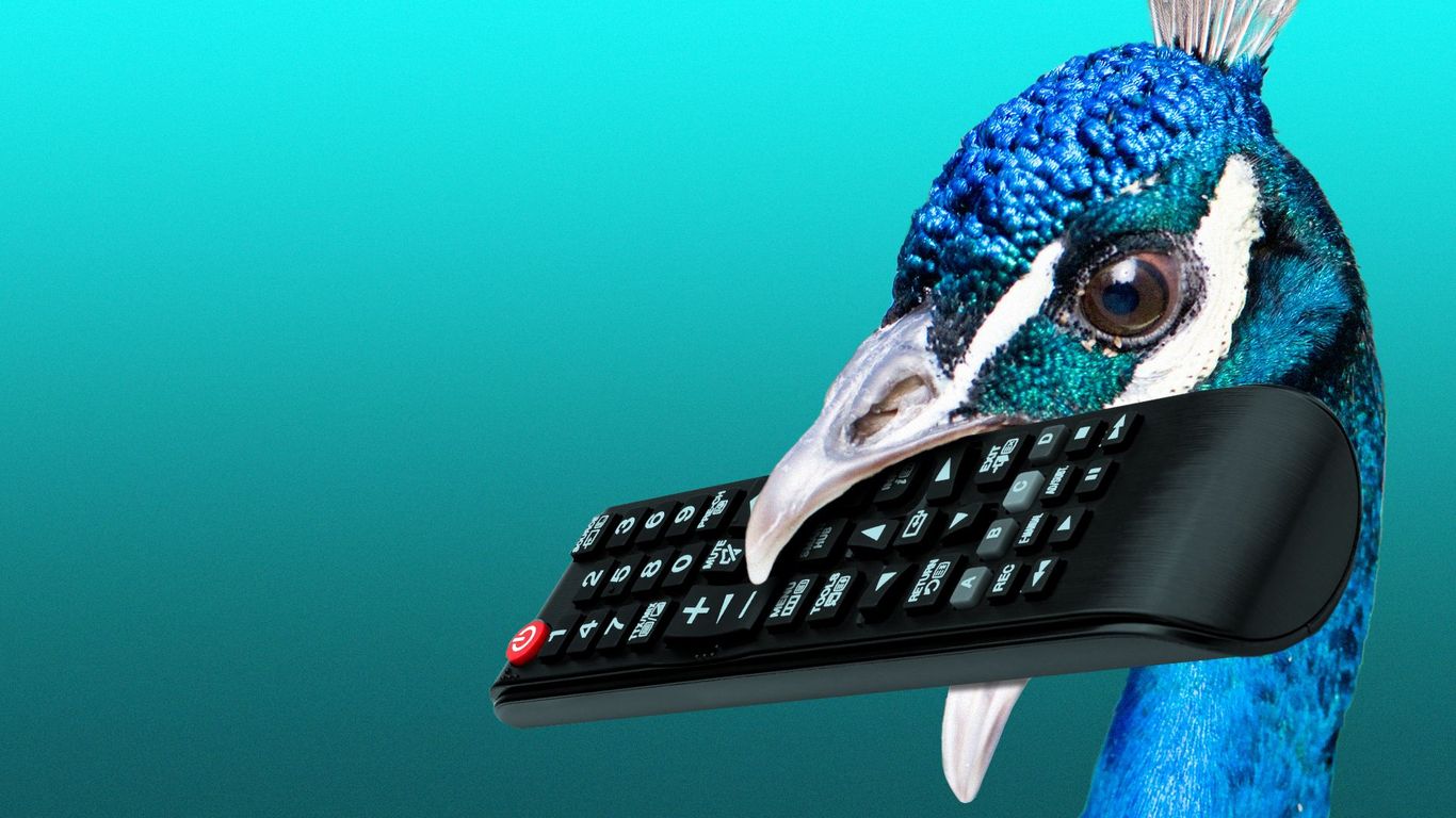 Sports will decide Peacock's fate