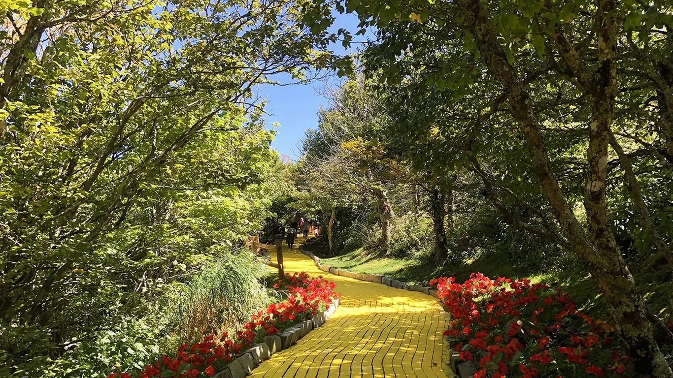 North Carolina's "Wizard of Oz" theme park reopens this fall - Axios ...