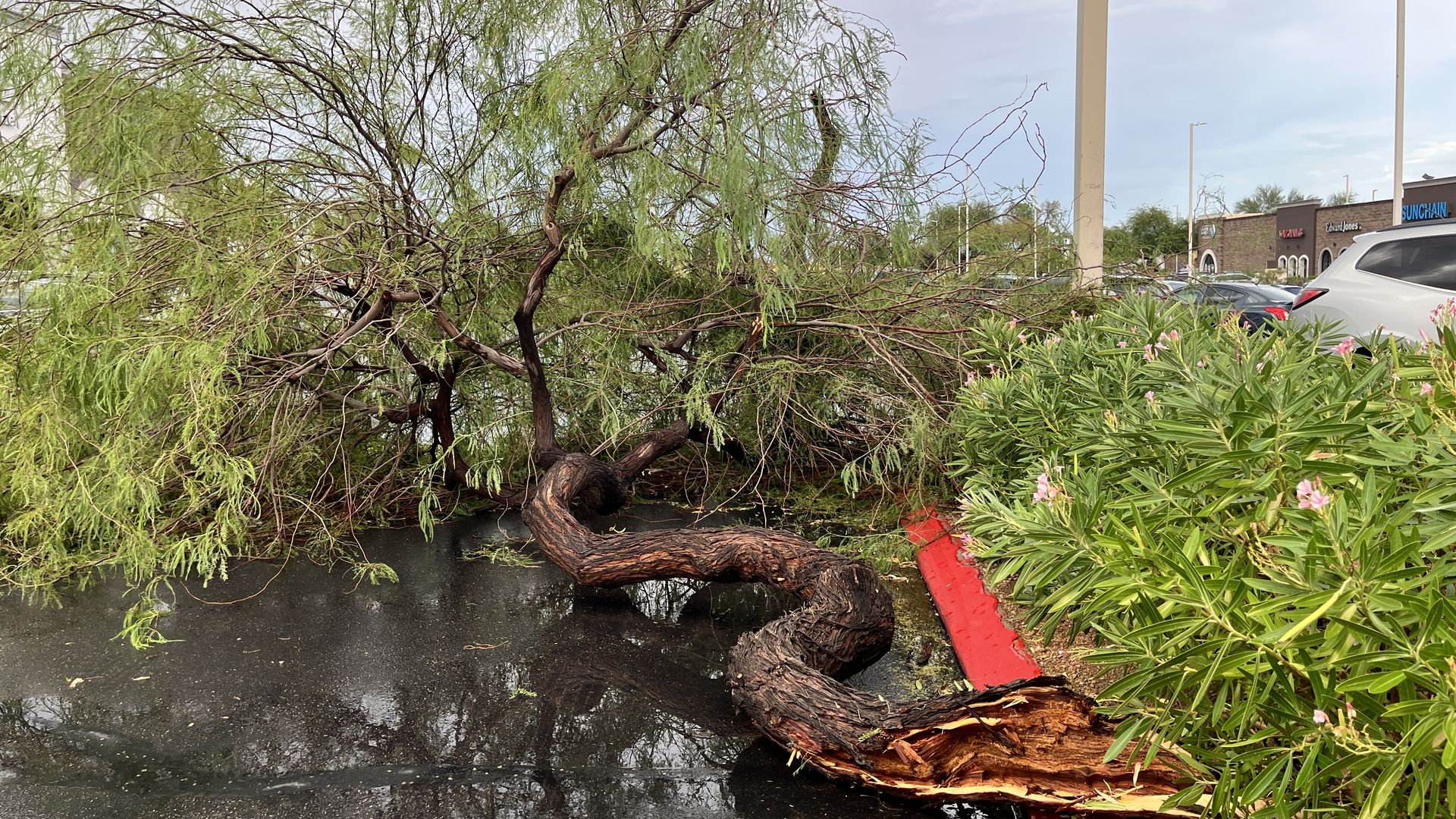 Phoenix microbursts cause tornado-like damage - Axios Phoenix