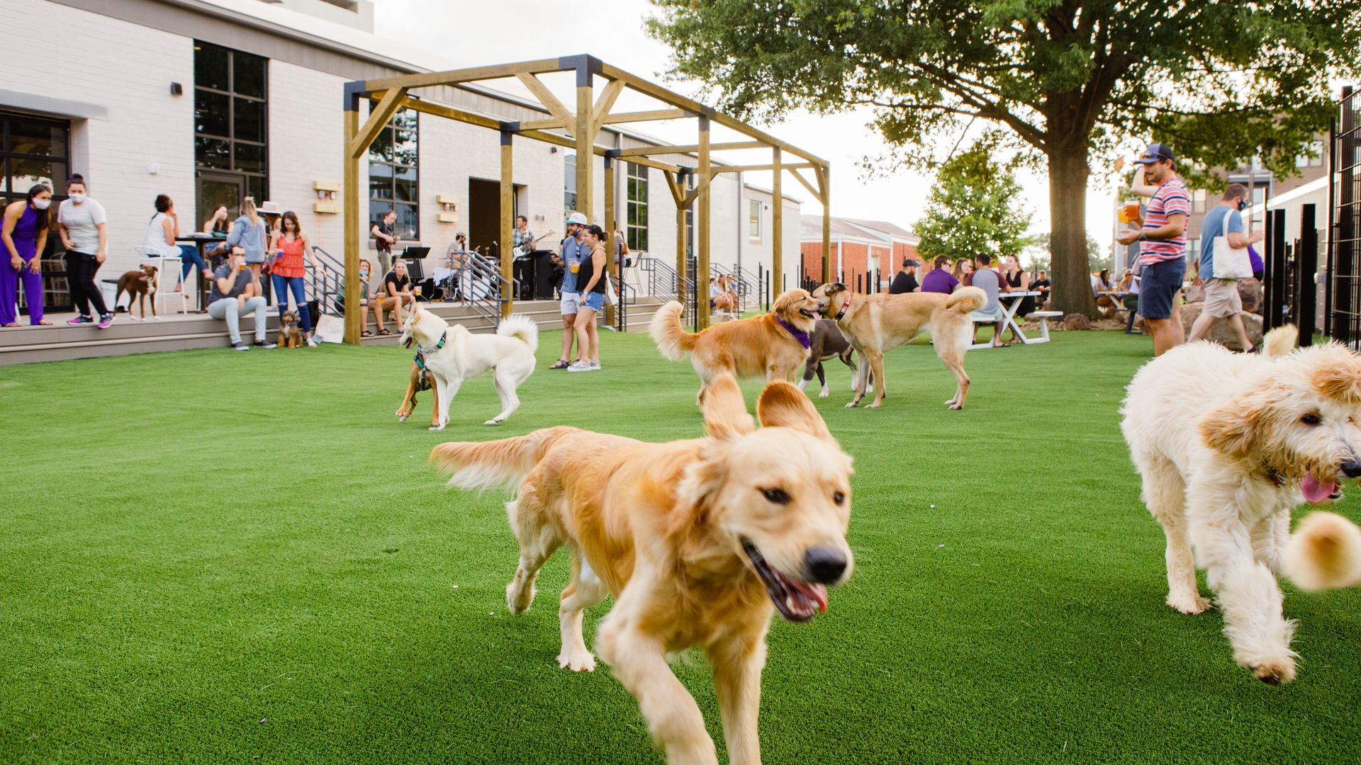 Skiptown to open "upscale" dog park in Atlanta - Axios Atlanta