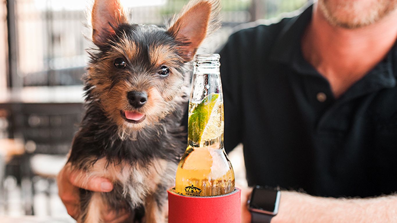 Hop on the bus for Lucky Dog’s pup-friendly Bark n Brew Pup Crawl on ...