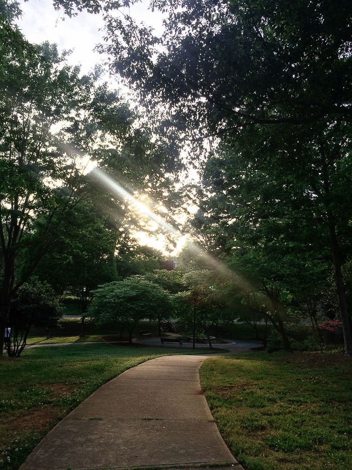 13 photos of an evening in Independence Park - Axios Charlotte