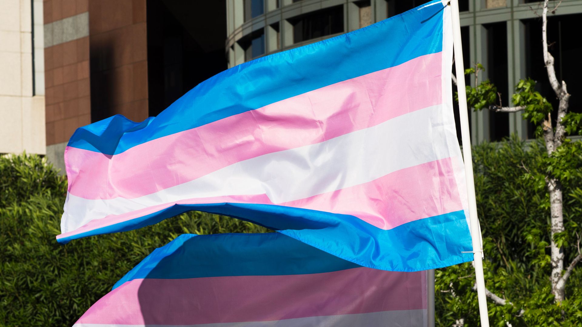 UCLA report: About 43% of the U.S. transgender population is between ...