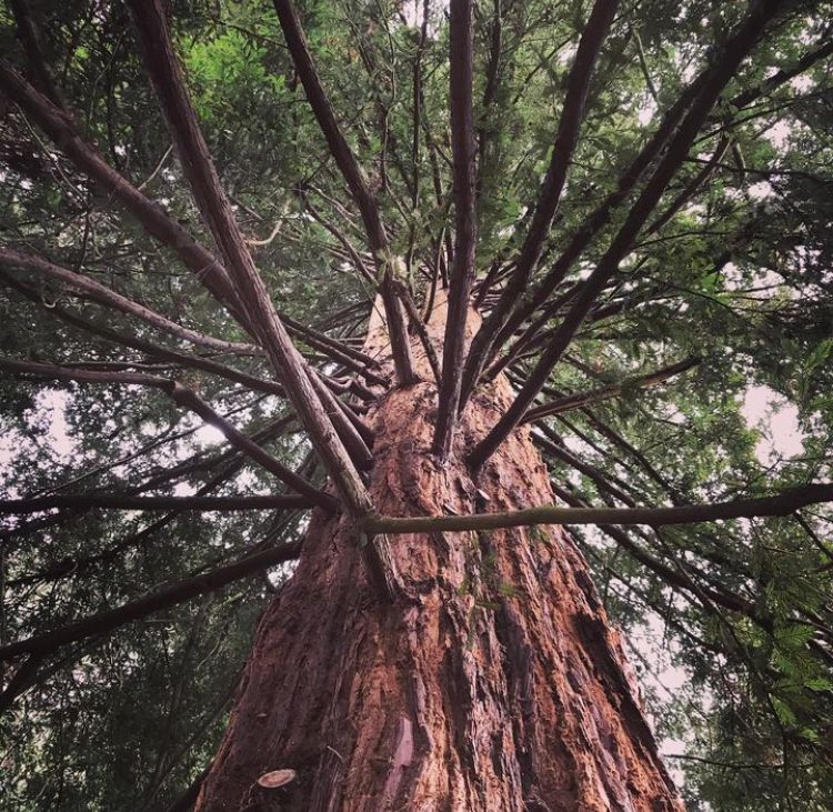 Where to go hiking to beat the Northwest summer heat - Axios Seattle