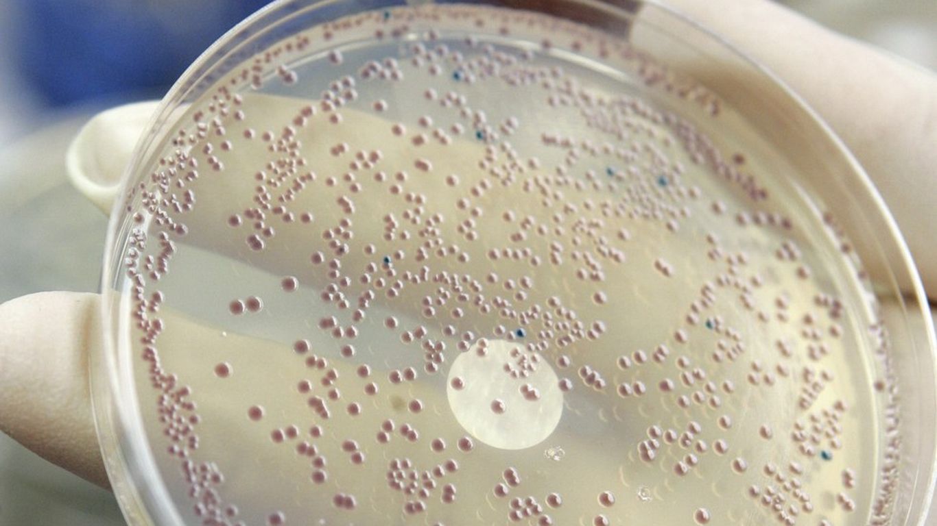 Scientists look to viruses to fight bacteria