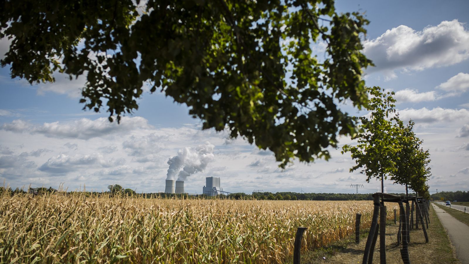 Businesses need more climate change protection