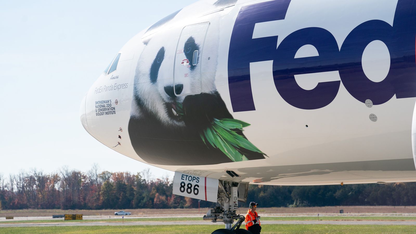 Giant pandas Bao Li, Qing Bao on way to DC National Zoo - Axios ...
