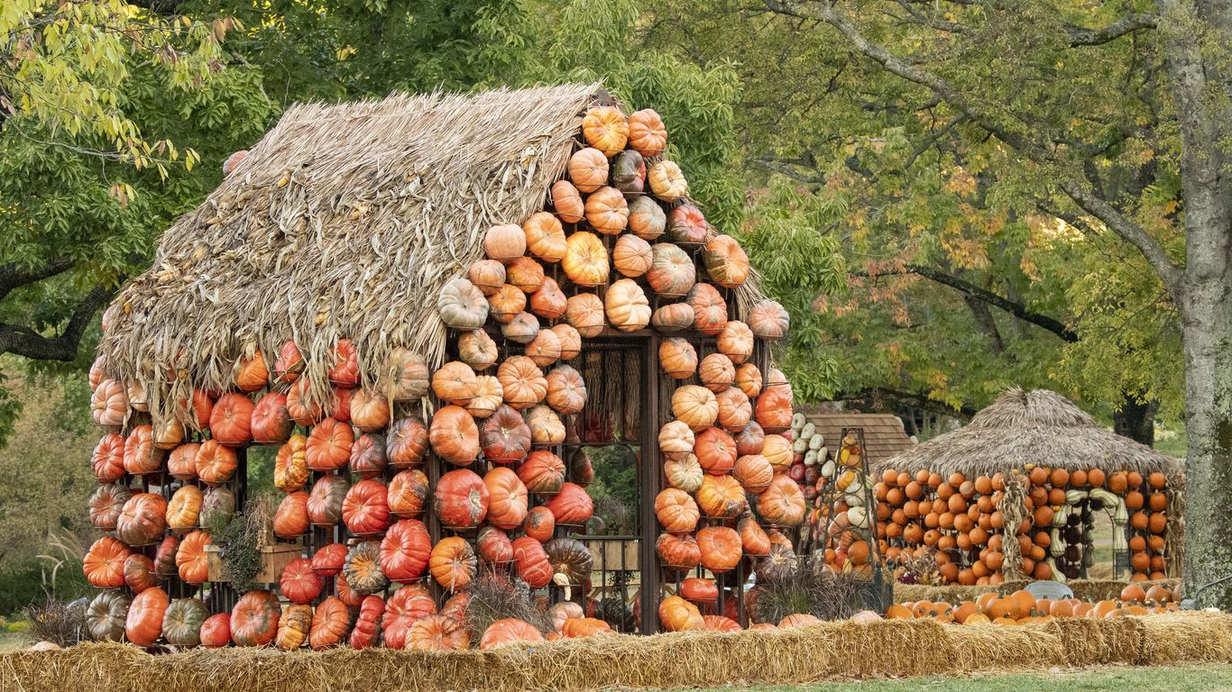 Fall things to do in Nashville: Festivals, Oktoberfest, fairs, and more ...