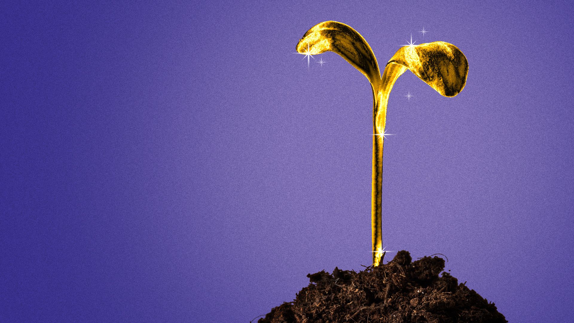 Low-carbon climate startups are seeing fundraising megarounds