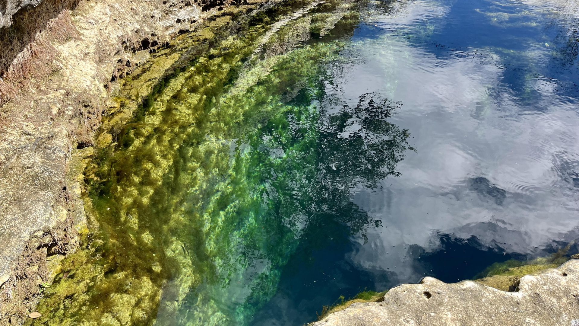 A trip to Jacob's Well - Axios Austin