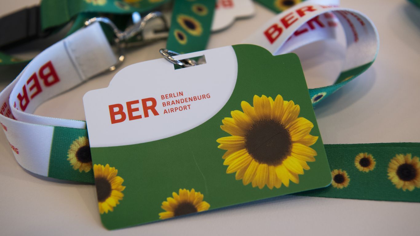 Hidden Disabilities: How Ohio airport sunflowers help travelers with ...