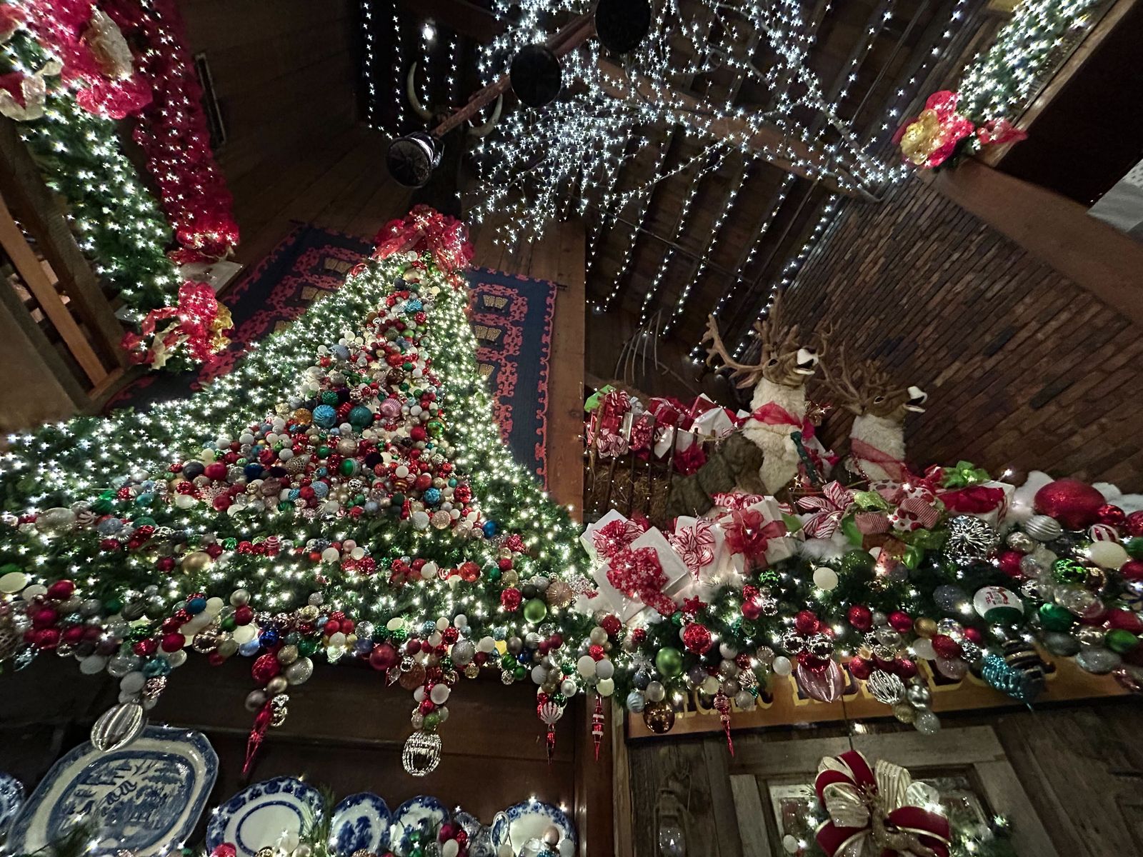 In photos: Angus Barn's dazzling winter wonderland display - Axios Raleigh
