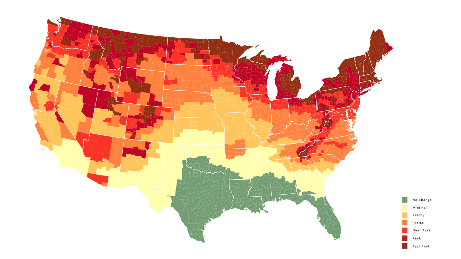 Colorado fall foliage forecast: Your 2024 guide to peak leaf-peeping ...