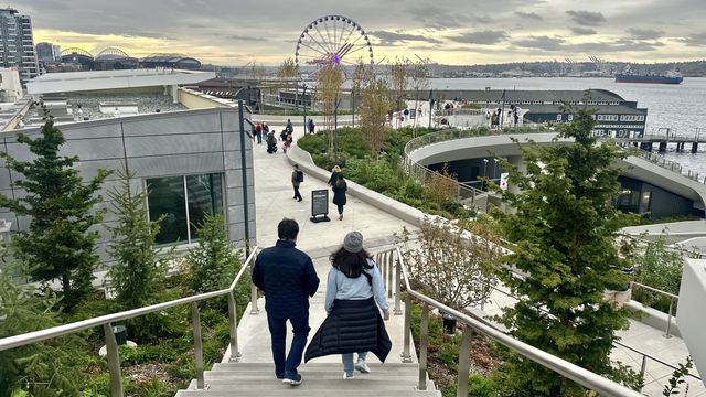 Checking out Seattle's new Overlook Walk - Axios Seattle
