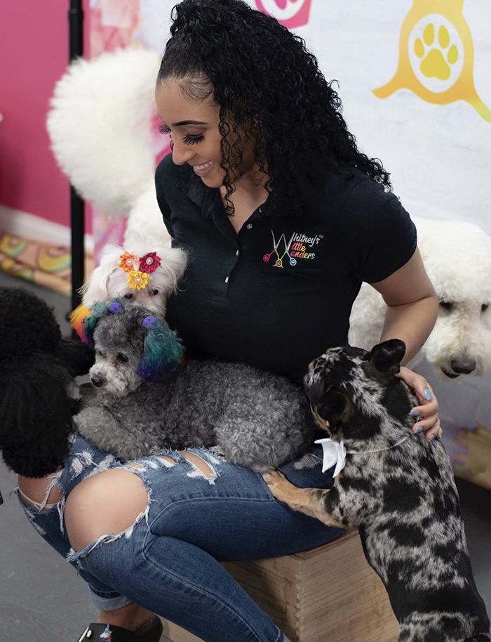 LaMelo Ball spoils his dog at Whitney’s Wittle Wonders in University ...