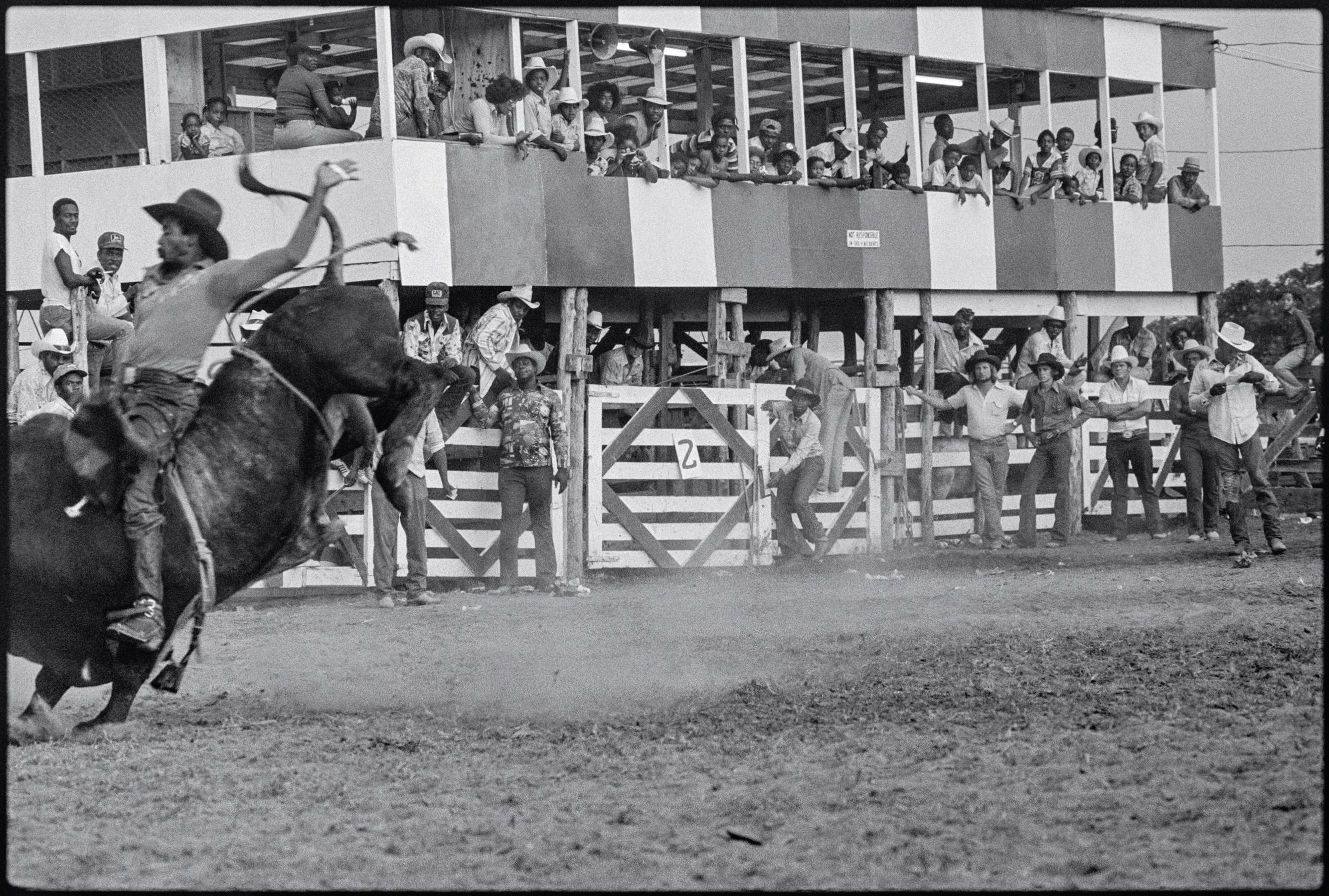 Sarah Bird publishes new book, "Juneteenth Rodeo" - Axios Austin