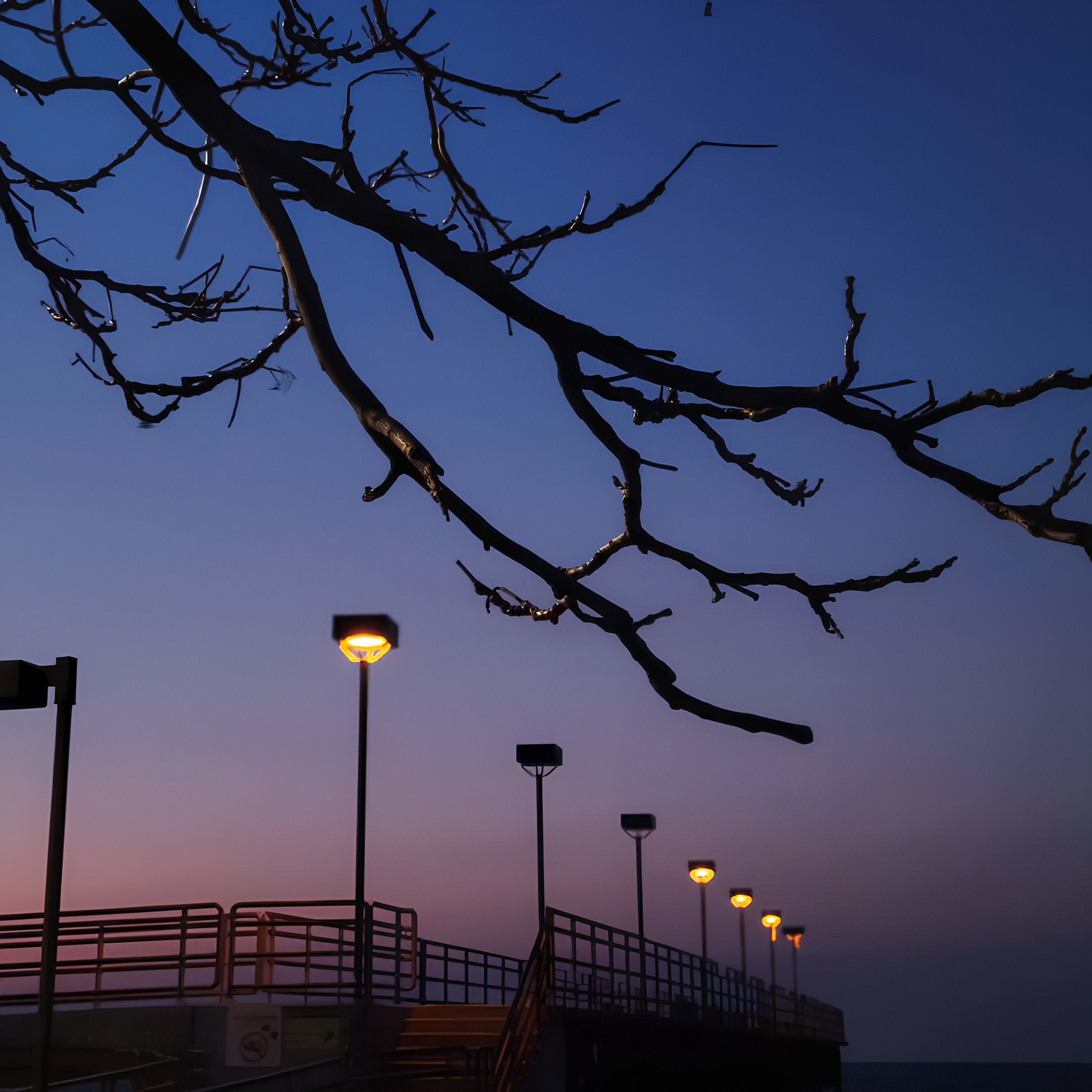 Capturing Cleveland: The Edgewater fishing pier - Axios Cleveland